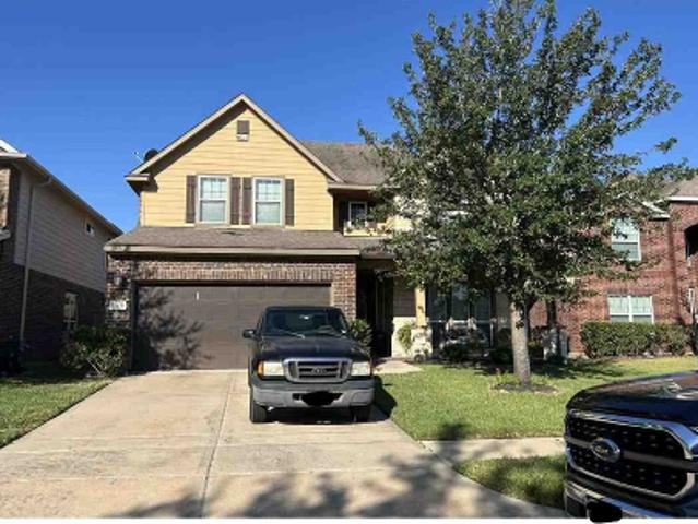 Pattington Cypress D