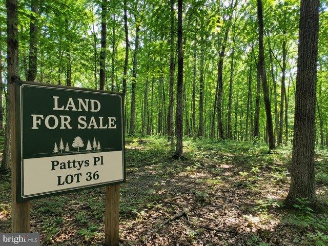 Pattys Pl, Falling Waters, WV 25419