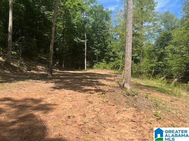 Pate Road # Lot 4, 6.51Â± Ac