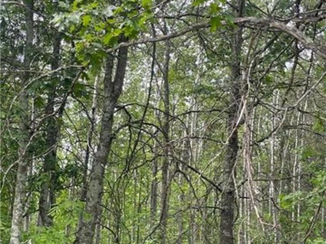 Patriot Ave Lot 2, Pequot Lakes, MN 56472