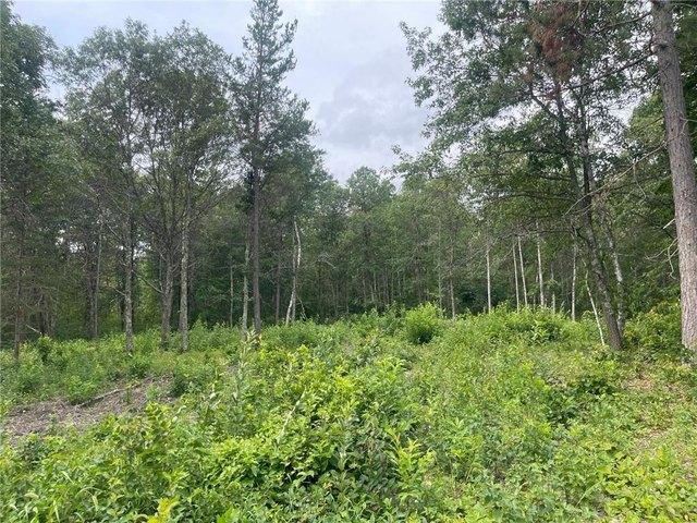 Patriot Ave Lot 4, Pequot Lakes, MN 56472