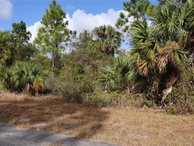 Patriot Cir Port, North Port, FL 34288 | MLS #C7502