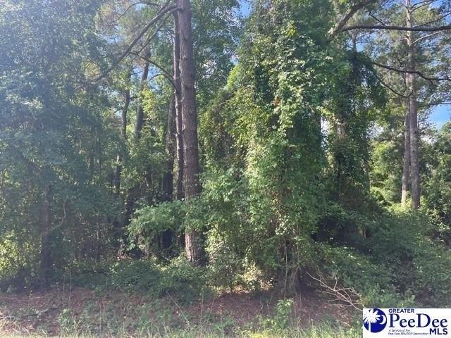 Patrick Hwy, Hartsville, SC 29550