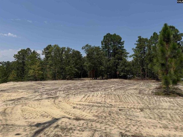 Patrick Hwy Lot 3, Hartsville, SC 29550