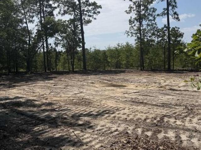 Patrick Hwy Lot 1, Hartsville, SC 29550