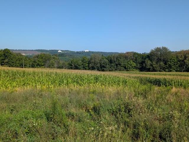 Patricks Rd, Ebensburg, PA 15946