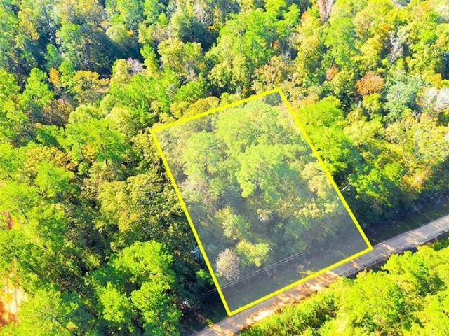 Patsy Cline Rd Lot 500 502, Livingston, TX 77351
