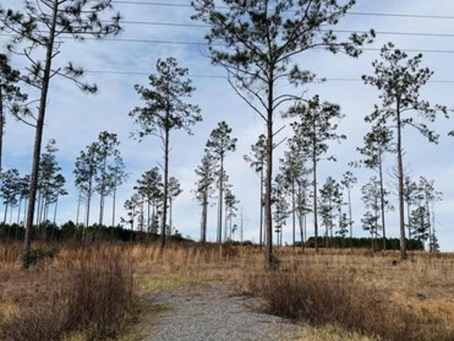 Paul McMillian Rd, Deridder, LA 70634
