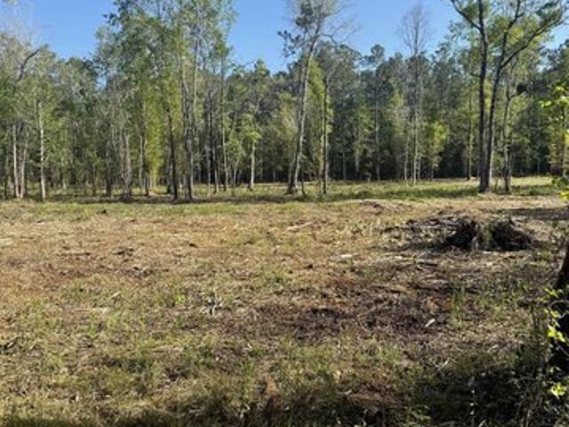 Pauley Swamp 5 Rd Lot Tract, Conway, SC 29527