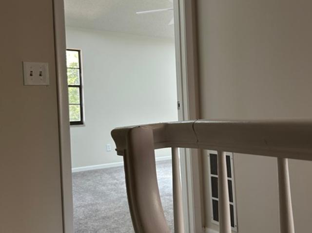 Pauly D is offering a Room For Rent in Windy Hill, Jacksonville in May 2026 $400.00