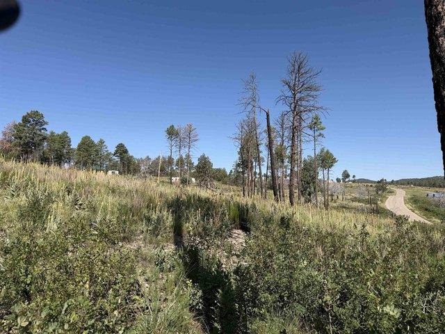 Pawhuska Dr Loop Lot Movac, Timberon, NM 88350