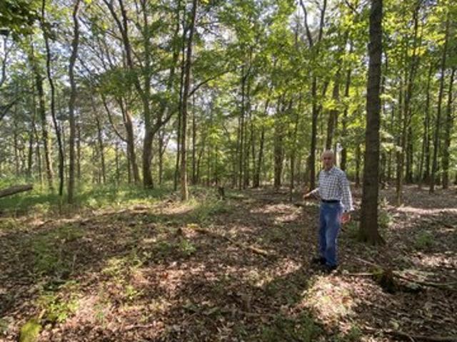 Pawnee Trl, Madison, TN 37115