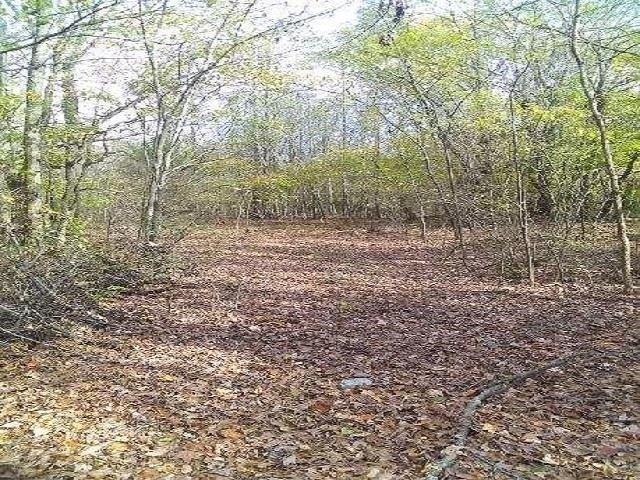 Payton Rd, Millington, TN 38053