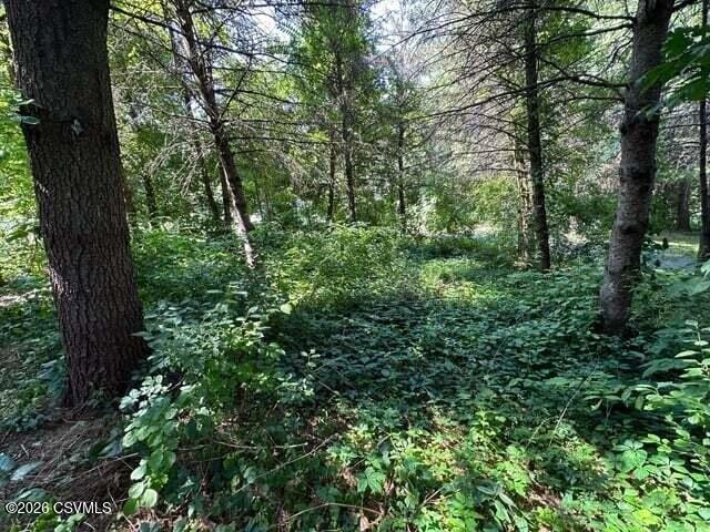 Payne Run Rd Lot 5, Dushore, PA 18614