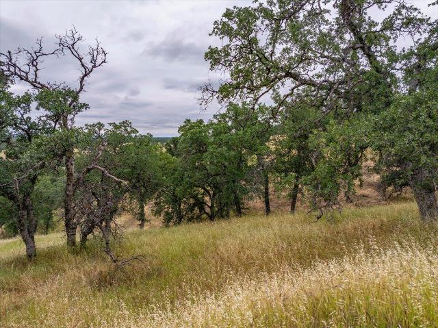 Paynes Creek Road