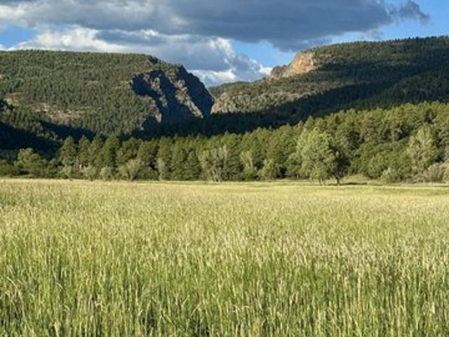 Pd 1788 Rd, Chama, NM 87520