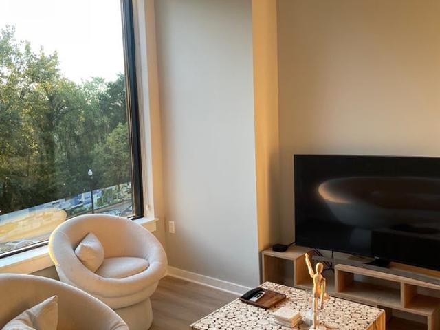 Pentagon City Apartment