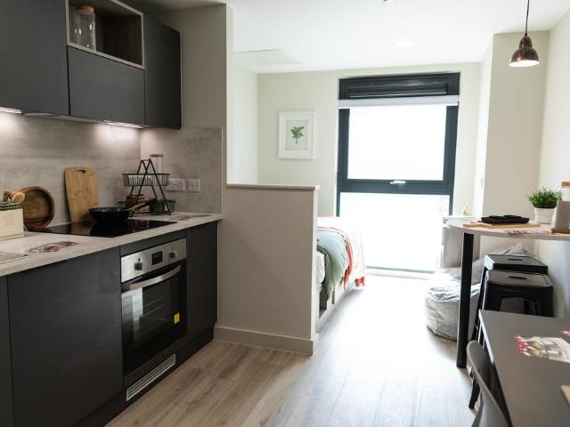 Penthouse Deluxe Studio at Stanley. Studio to rent £1,127 pcm £260 pw