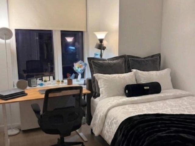 Penthouse Female Roommate Wanted