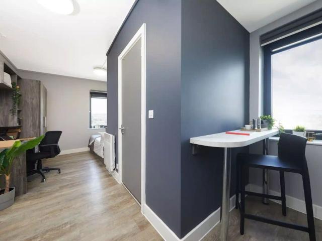 Penthouse Plus Studio