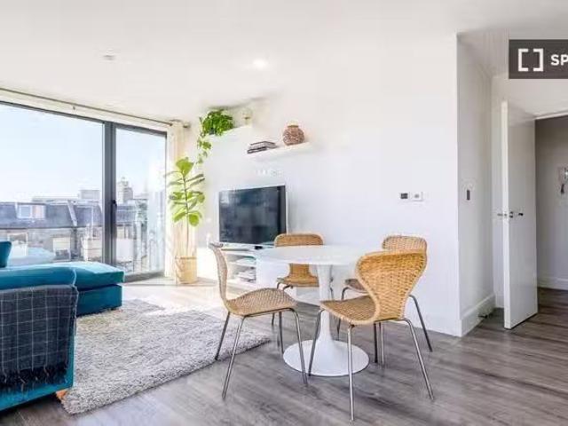 Penthouse With Views Of Alexandra Palace