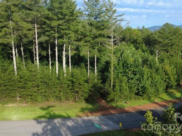 Peninsula Reserve Dr Unit 27, Nebo, NC 28761