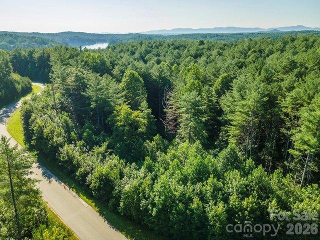 Peninsula Reserve Rd Lot 28, Nebo, NC 28761