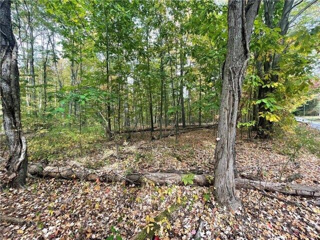 Penn Rd, Jamestown, Plot For Sale