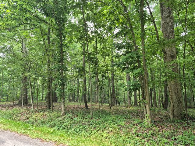 Penn road