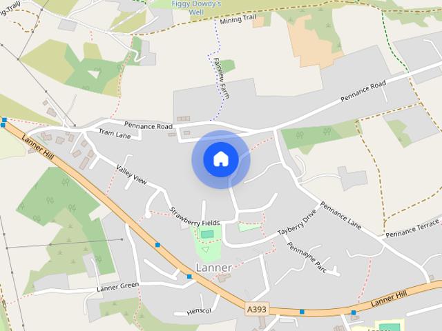 Pennance Parc, Lanner, TR16 5TY