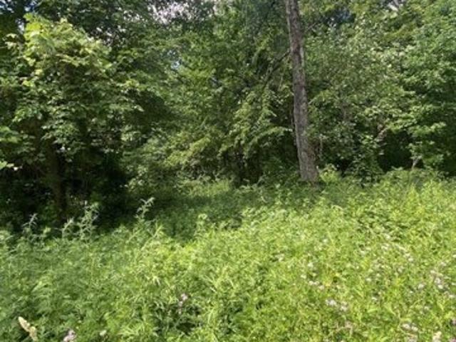 Pennie Ln Lot C, Stow, Plot For Sale