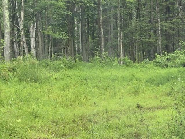 Pennsylvania 239 Hwy, Unityville, PA 17774