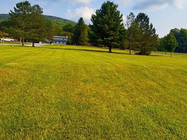 Penny Ln Lot 46, Davis, WV 26260