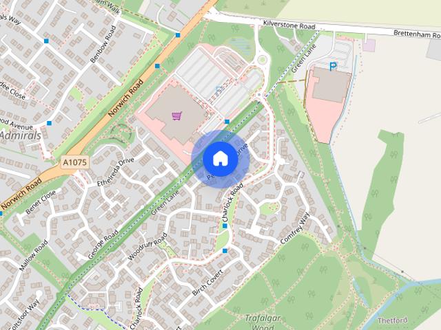 Pennycress Drive, Thetford, IP24