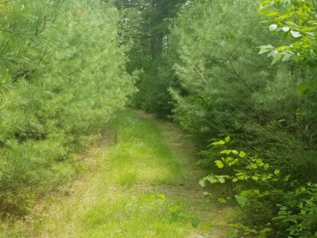 Penobscot, Plot For Sale