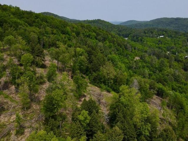 Peavine Blvd, Bethel, Plot For Sale