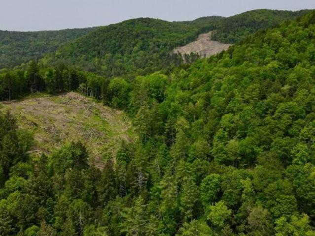 Peavine Blvd, Bethel, Plot For Sale