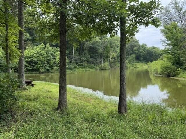 Pea Ridge Rd, Brooksville, KY 41004
