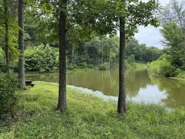 Pea Ridge Rd, Mount Olivet, KY 41064