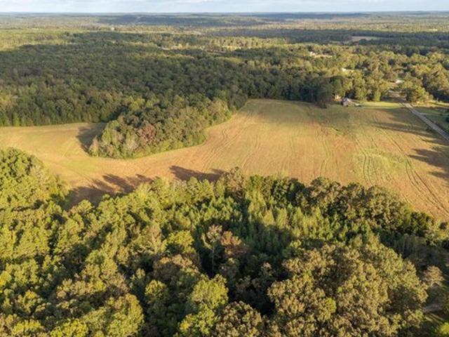 Pea Vine Rd, Middleton, TN 38052