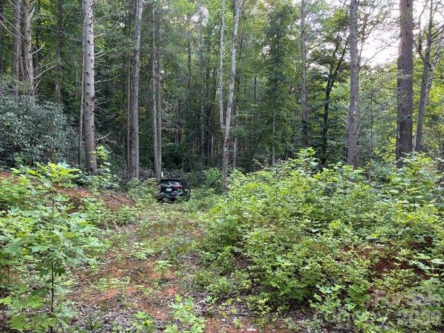 Peace Wood Ln Lot 41, Hendersonville, NC 28792