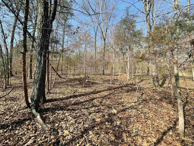 Peace Mountain Rd, Mountain View, AR 72560