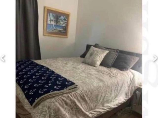 Peaceful drama, free room in home