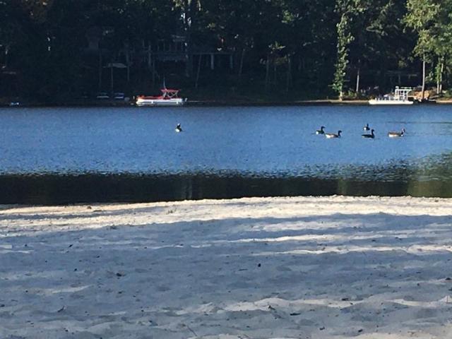 Peaceful environment