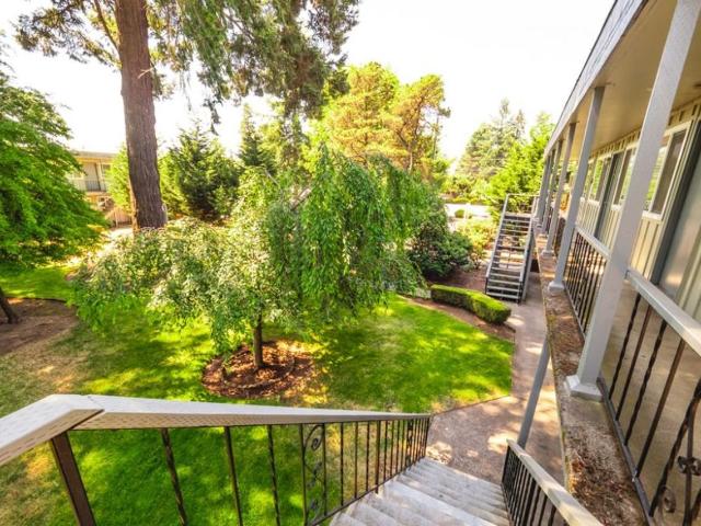Peaceful Living Beneath the Fir Trees 1 Bedroom Apartment for Rent at 1538 Se 122nd Ave, Portland, OR 97233 Mill Park