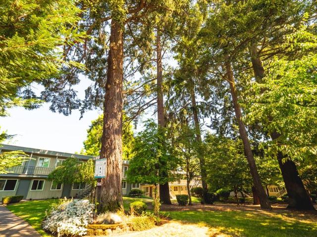 Peaceful Living Beneath the Fir Trees 1 Bedroom Apartment for Rent at 1538 Se 122nd Ave, Portland, OR 97233 Mill Park