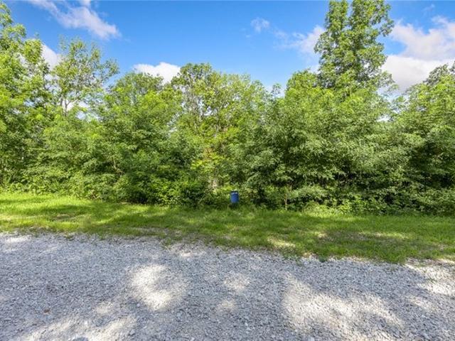 Peaceful Pl Lot 29, Harrison, AR 72601