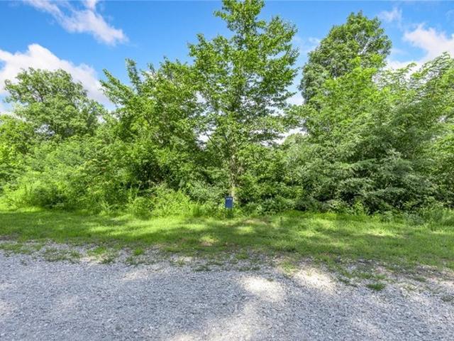 Peaceful Pl Lot 31, Harrison, AR 72601