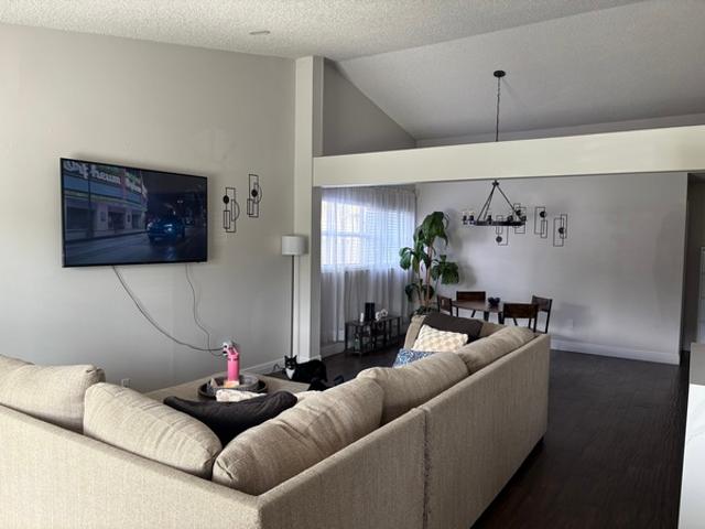 Peaceful Room for Rent