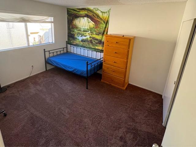 Peaceful Roommate Wanted
